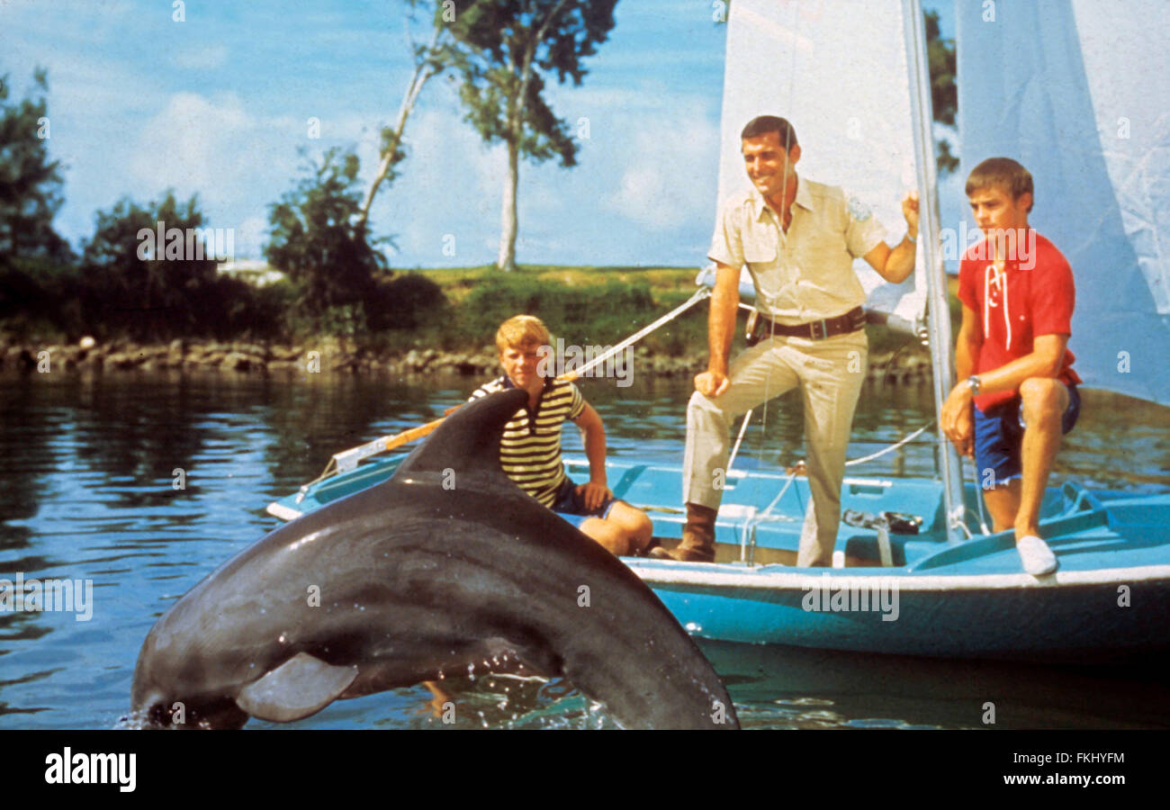 Flipper 1964 Stock Photos & Flipper 1964 Stock Images - Alamy