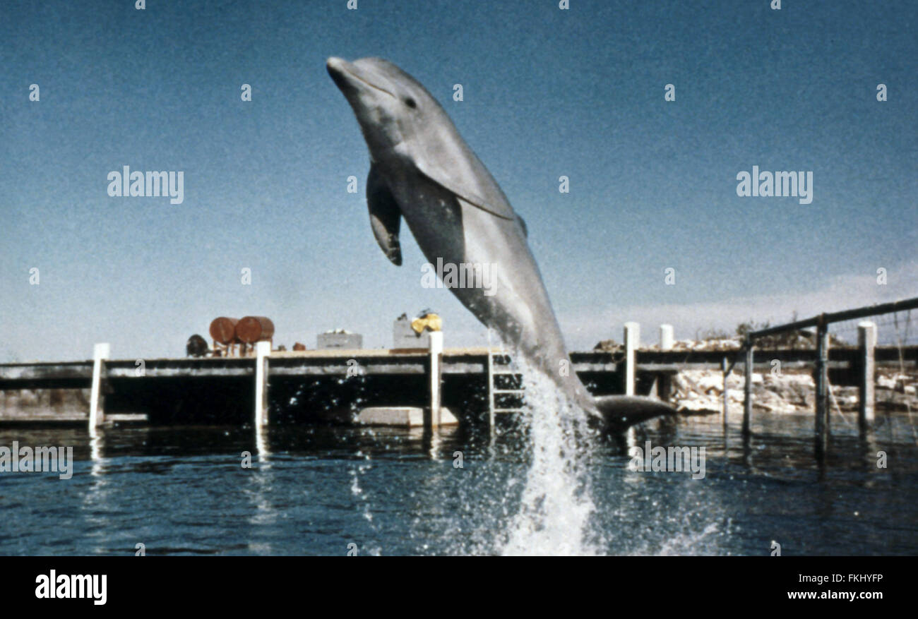 Flipper 1964 Stock Photos & Flipper 1964 Stock Images - Alamy