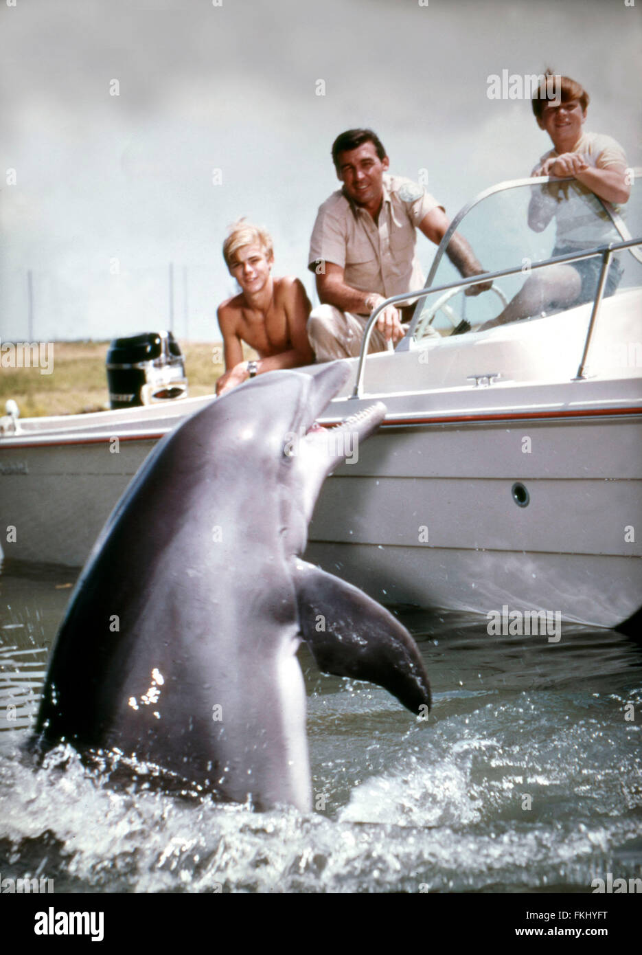 Flipper 1964 Stock Photos & Flipper 1964 Stock Images - Alamy