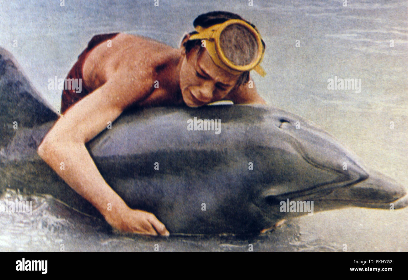 Flipper 1964 Stock Photos & Flipper 1964 Stock Images - Alamy