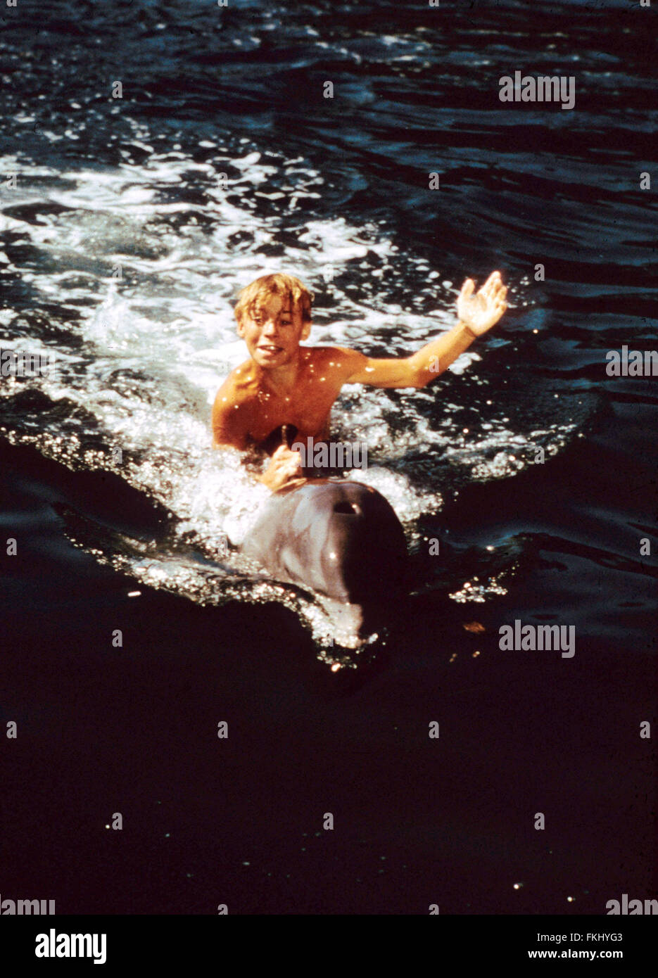 Flipper 1964 Stock Photos & Flipper 1964 Stock Images - Alamy