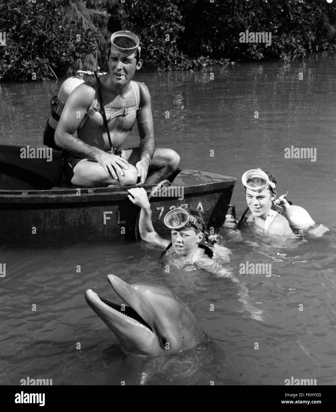 Flipper 1964 Stock Photos & Flipper 1964 Stock Images - Alamy