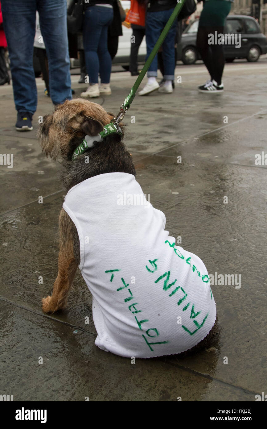 Westminster London,UK. 9th March 2016. London Black cab drivers rally ...