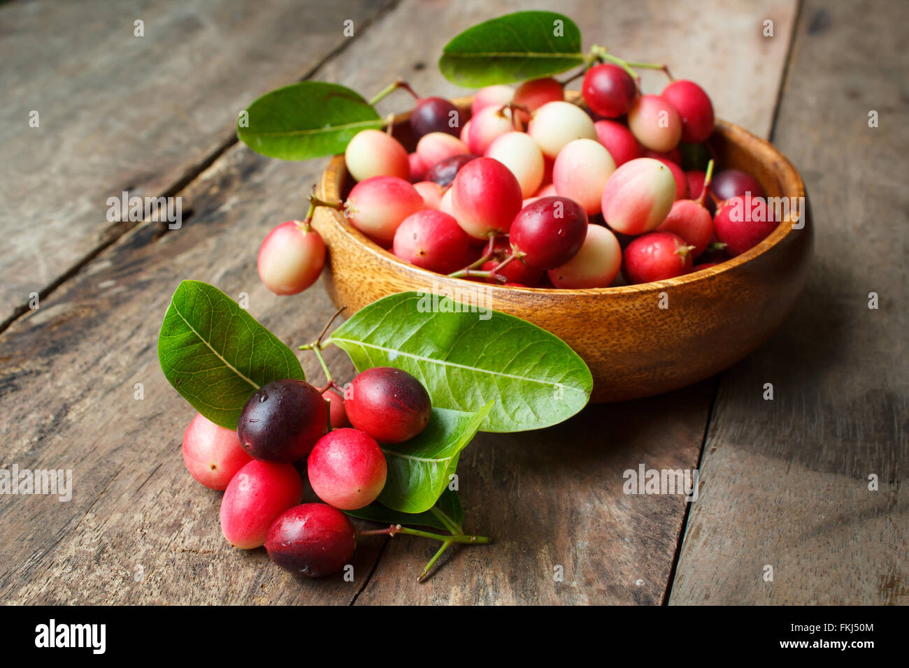 Carissa caranda hi-res stock photography and images - Alamy