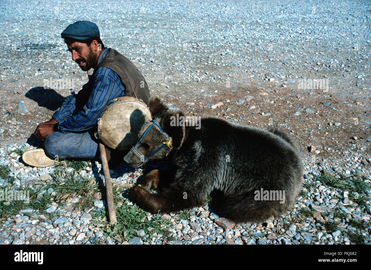 Gypsy and Dancing Bear Cub Turkey Stock Photo - Alamy