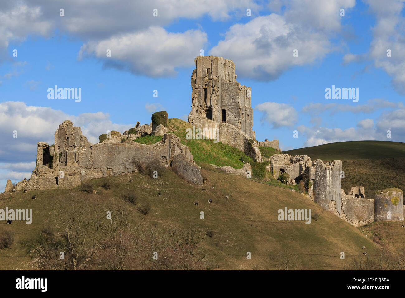 corfe castle village, dorset, england Stock Photo - Alamy