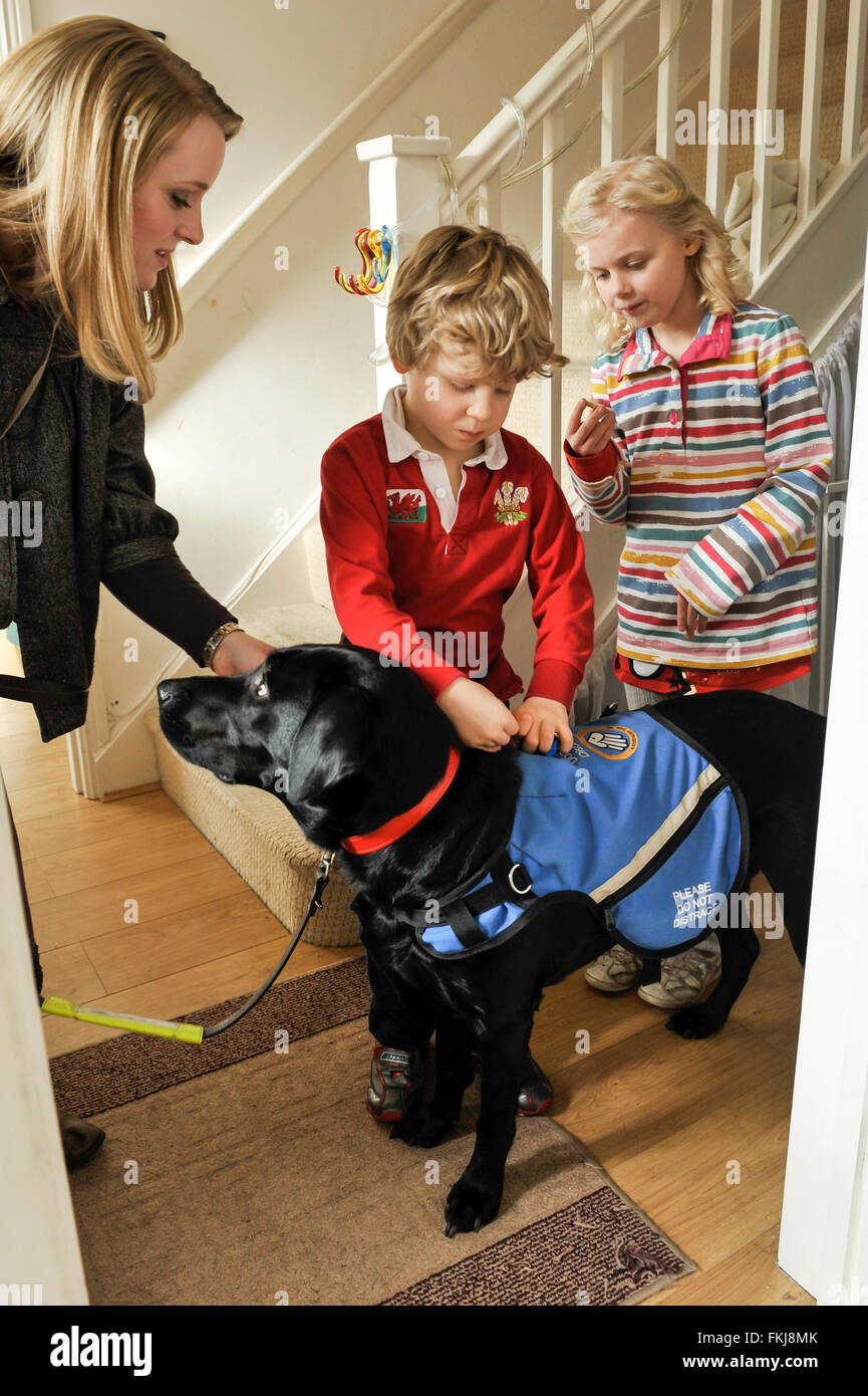 Guide dog for Autistic Son Marcus connects himself to Ivan before they ...