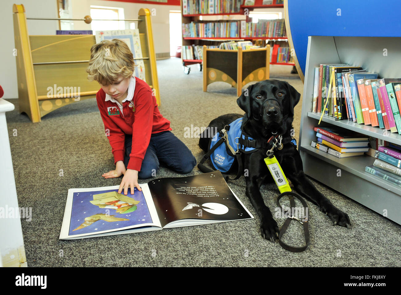 Guide dog for Autistic Son Marcus Butt who is Autistic is pictured with ...