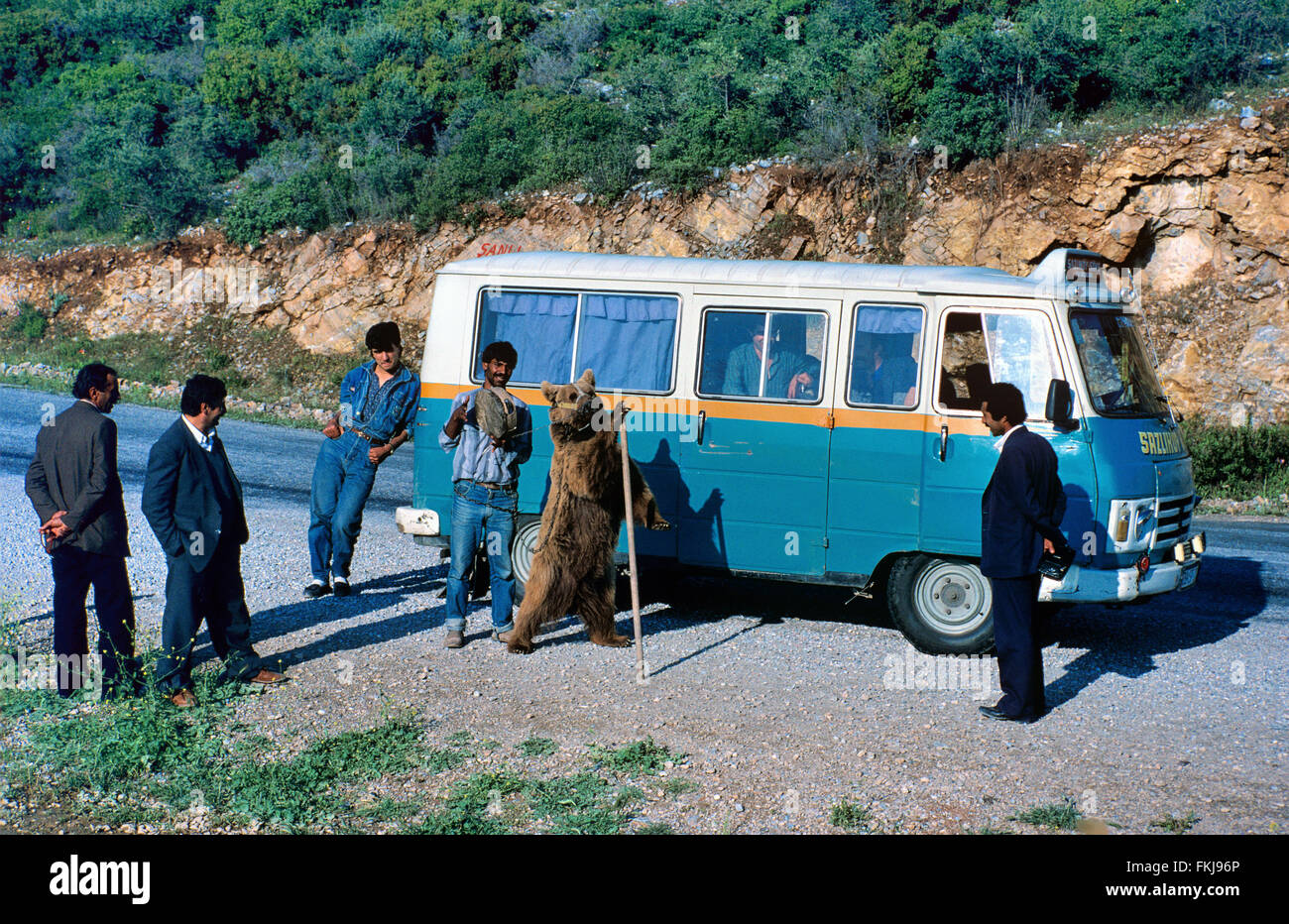 Turks in Public Minibus Stop to Watch a Dancing Bear on the Roadside ...