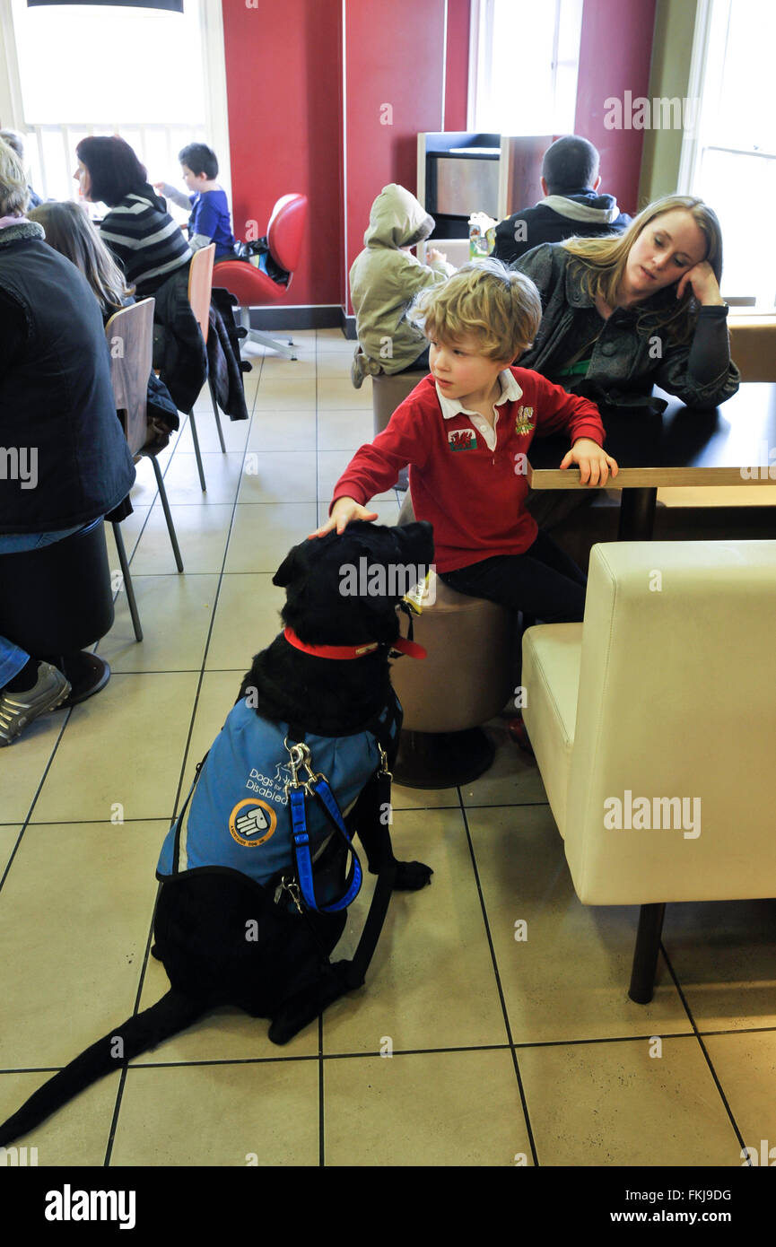 Guide dog for Autistic Son Ivan is a calming influence on Marcus on a ...