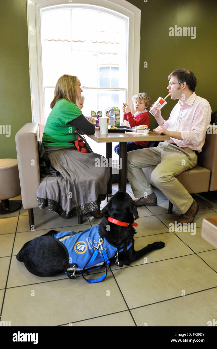 Guide dog for Autistic Son Ivan is a calming influence on Marcus on a ...