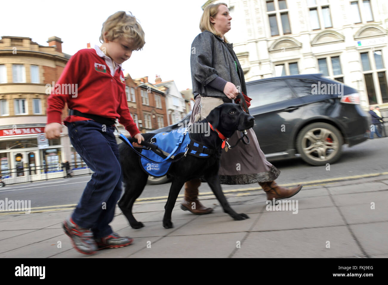 Guide dog for Autistic Son Marcus is connected to Ivan via a strap and ...