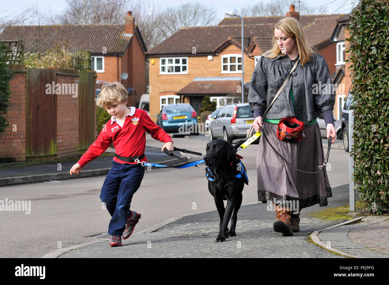 Guide dog for Autistic Son Marcus is connected to Ivan via a strap and ...