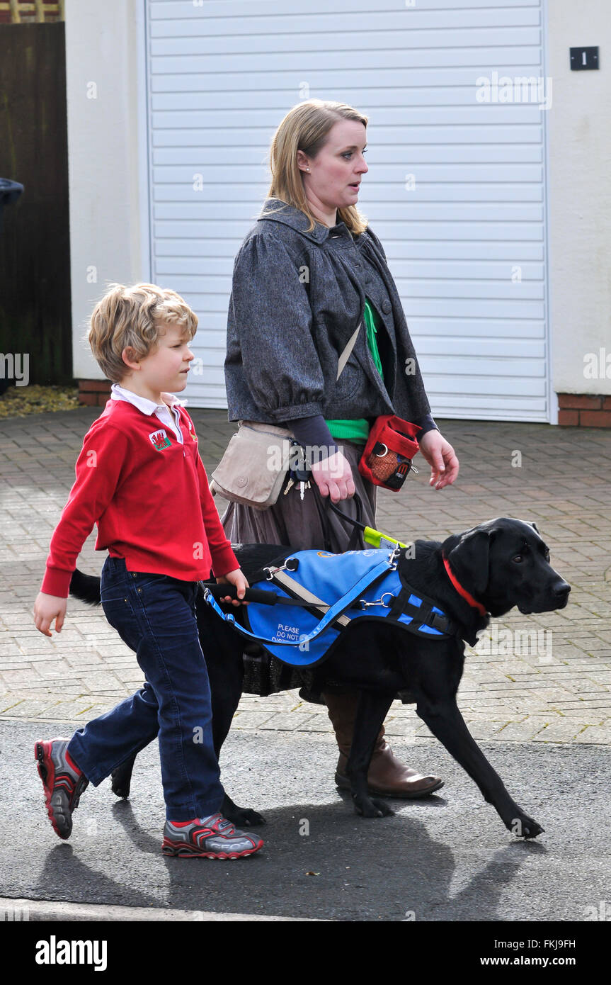 Guide dog for Autistic Son Marcus is connected to Ivan via a strap and ...