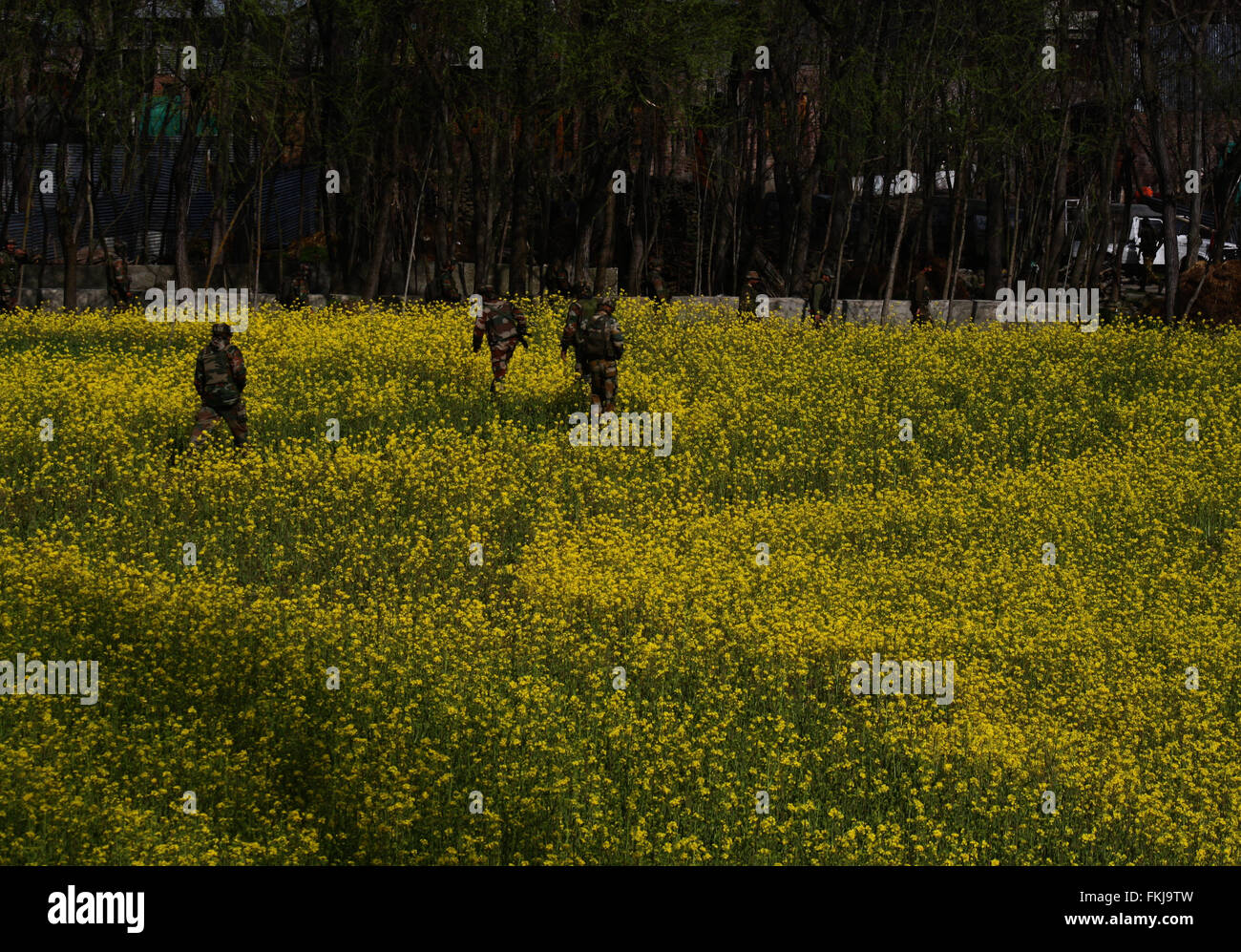 Awantipora hi-res stock photography and images - Alamy