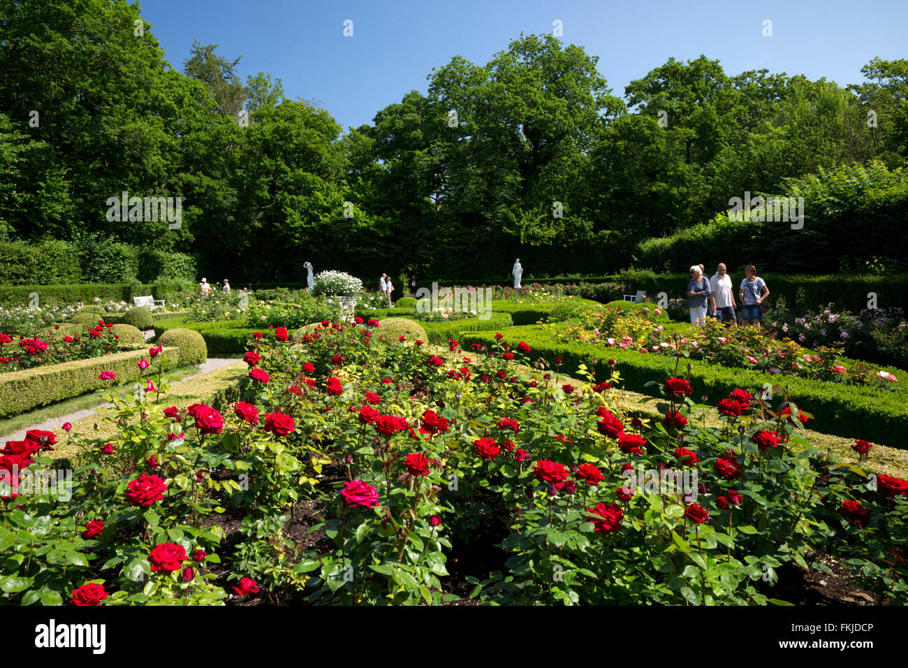 Dutch rose garden hi-res stock photography and images - Alamy