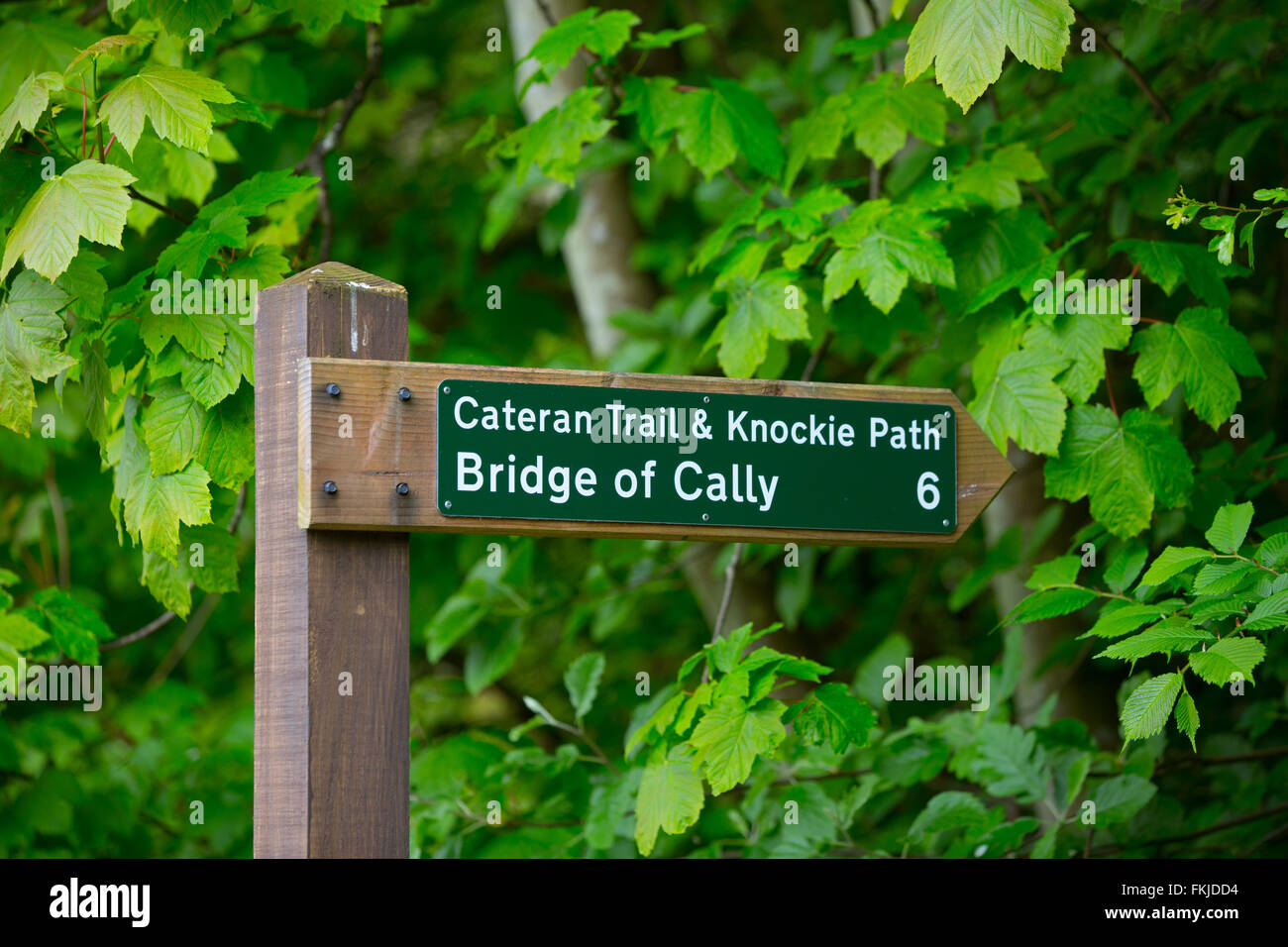 Cally bridge perthshire hi-res stock photography and images - Alamy