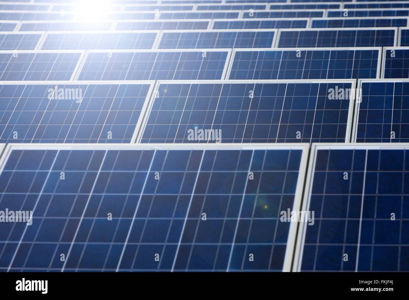 plenty of solar cell panel rows with blue-white sun reflection, photo ...