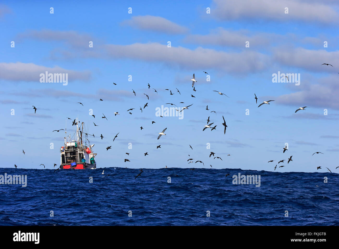 Cape of good hope ship hi-res stock photography and images - Alamy