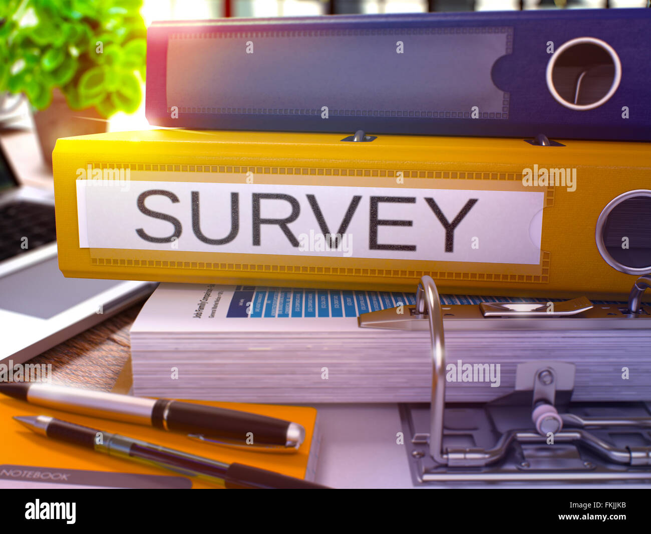 Yellow Ring Binder with Inscription Survey Stock Photo - Alamy