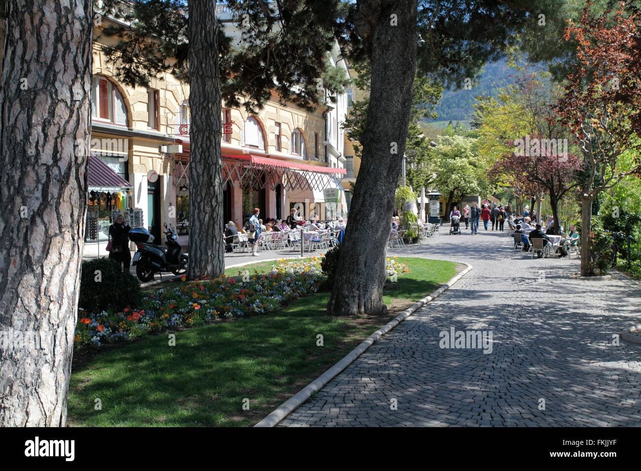Part of the winter promenade of Merano. Merano has a mediterranean ...
