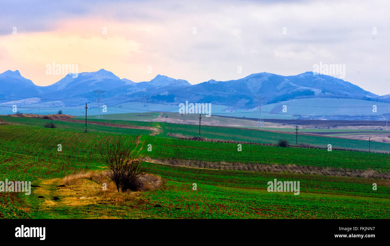 beautiful spring landscape in Dobrogea, Romania Stock Photo - Alamy