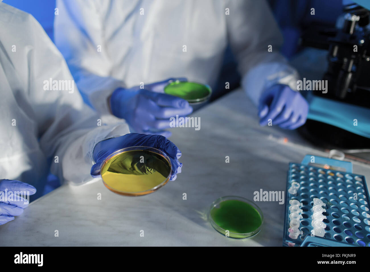 close up of scientists with test samples in lab Stock Photo - Alamy