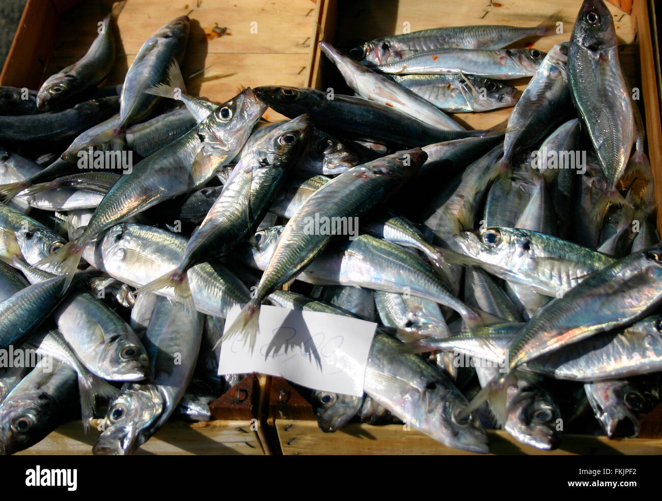Sicilian seafood hi-res stock photography and images - Alamy
