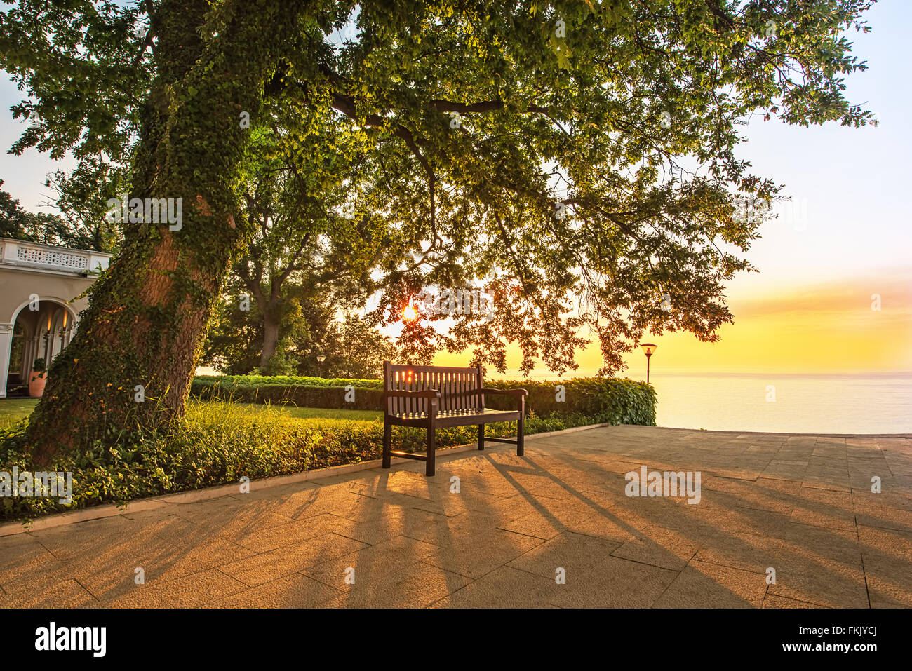 Garden bench under maple tree hi-res stock photography and images - Alamy