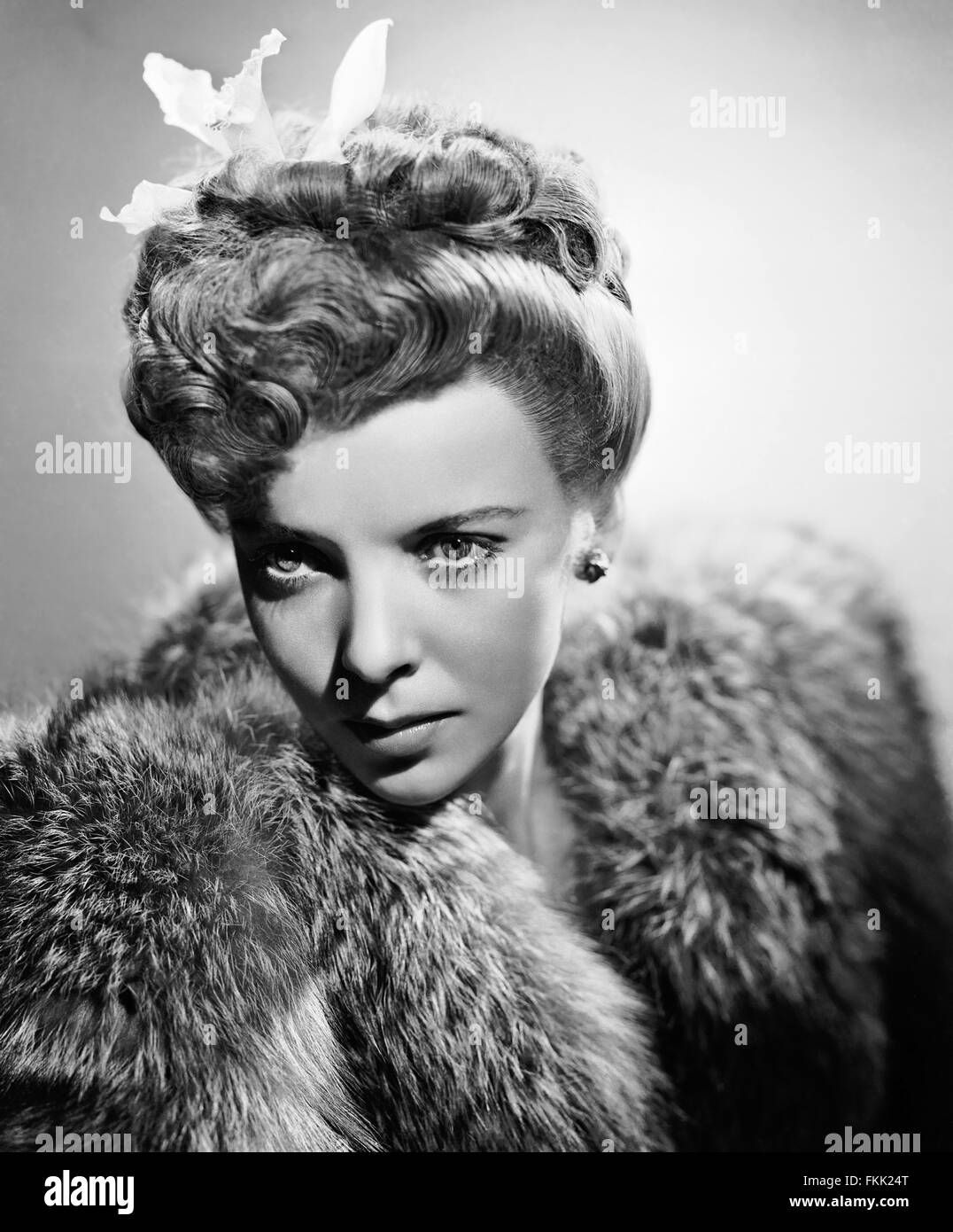 Lupino hi-res stock photography and images - Alamy