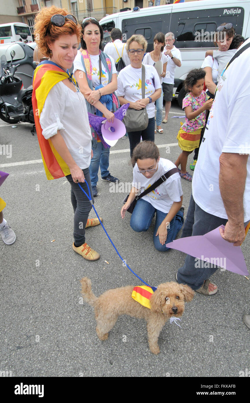 Political demonstration for the independence of Catalonia, September 11 ...