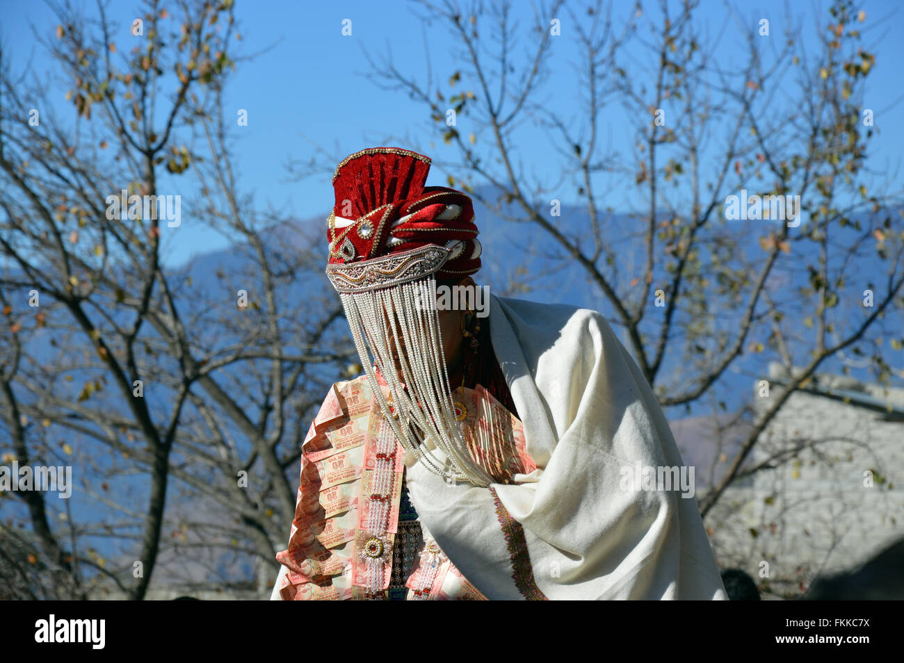 Veiled Indian Groom Stock Photo - Alamy