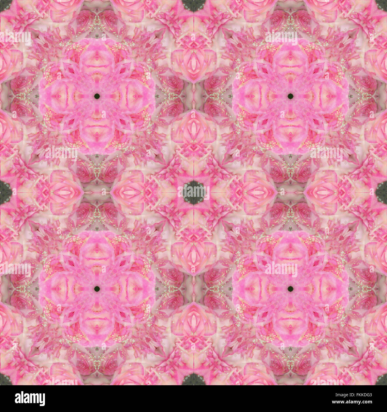 Seamless square flower pattern. Tender pink color Stock Photo - Alamy