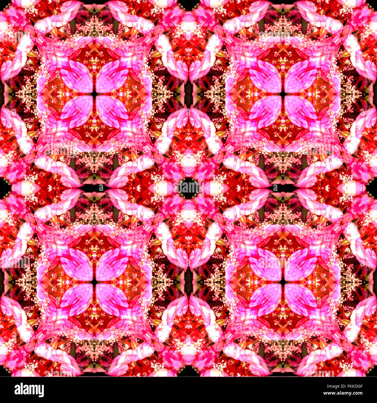 Seamless square flower pattern. Bright pink color Stock Photo - Alamy