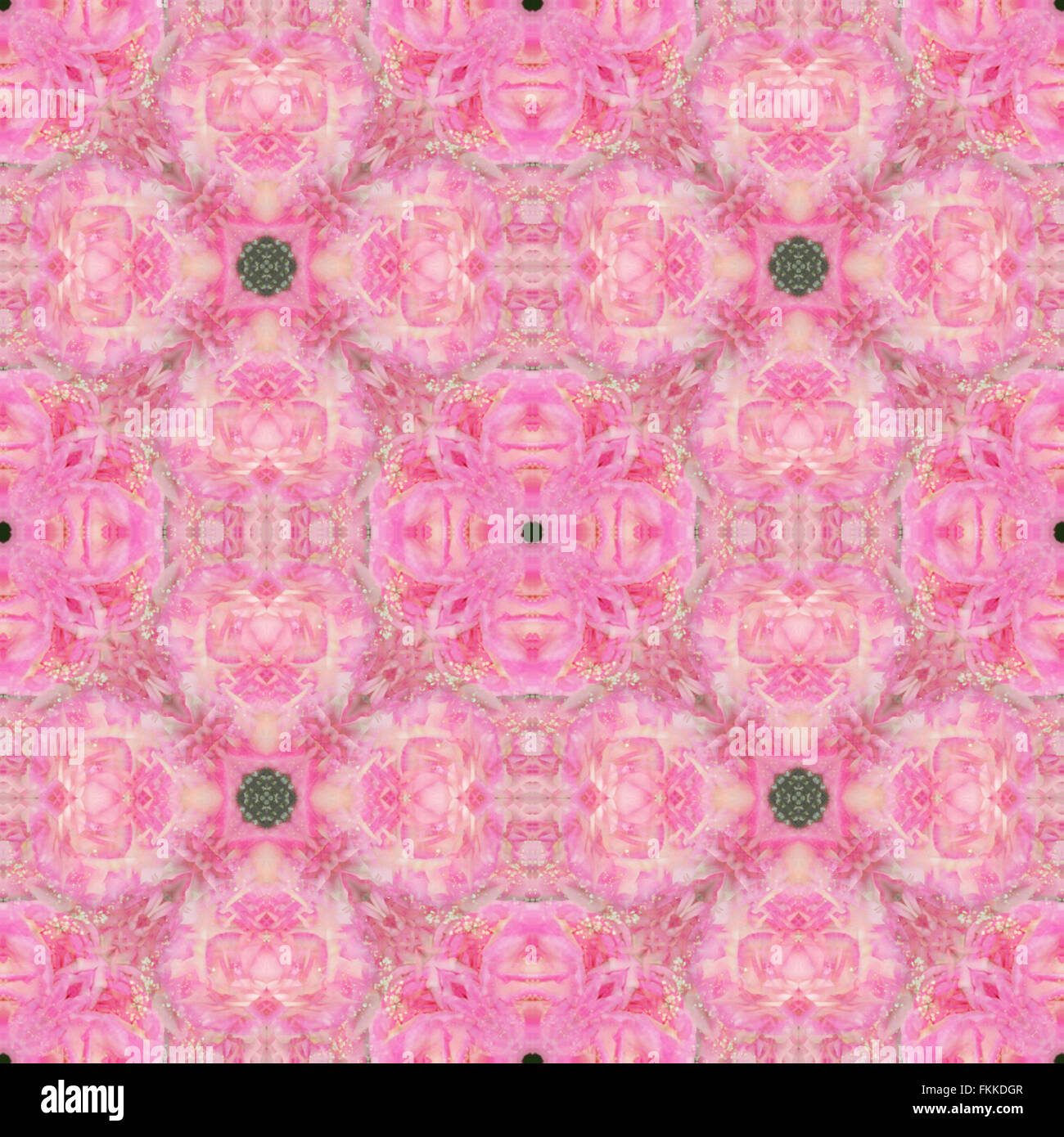 Seamless square flower pattern. Tender pink color Stock Photo - Alamy