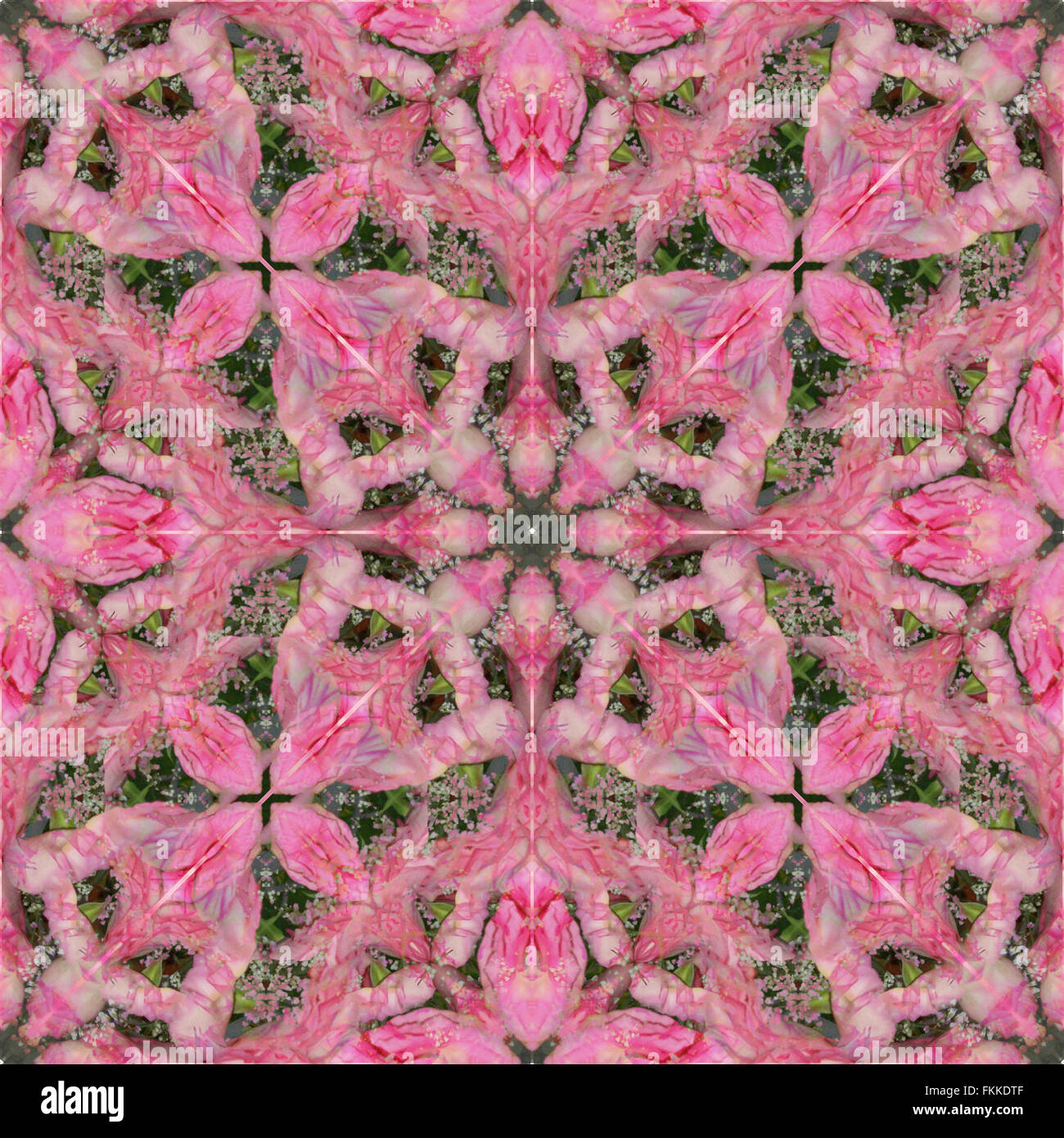 Seamless square flower pattern. Tender pink color Stock Photo - Alamy