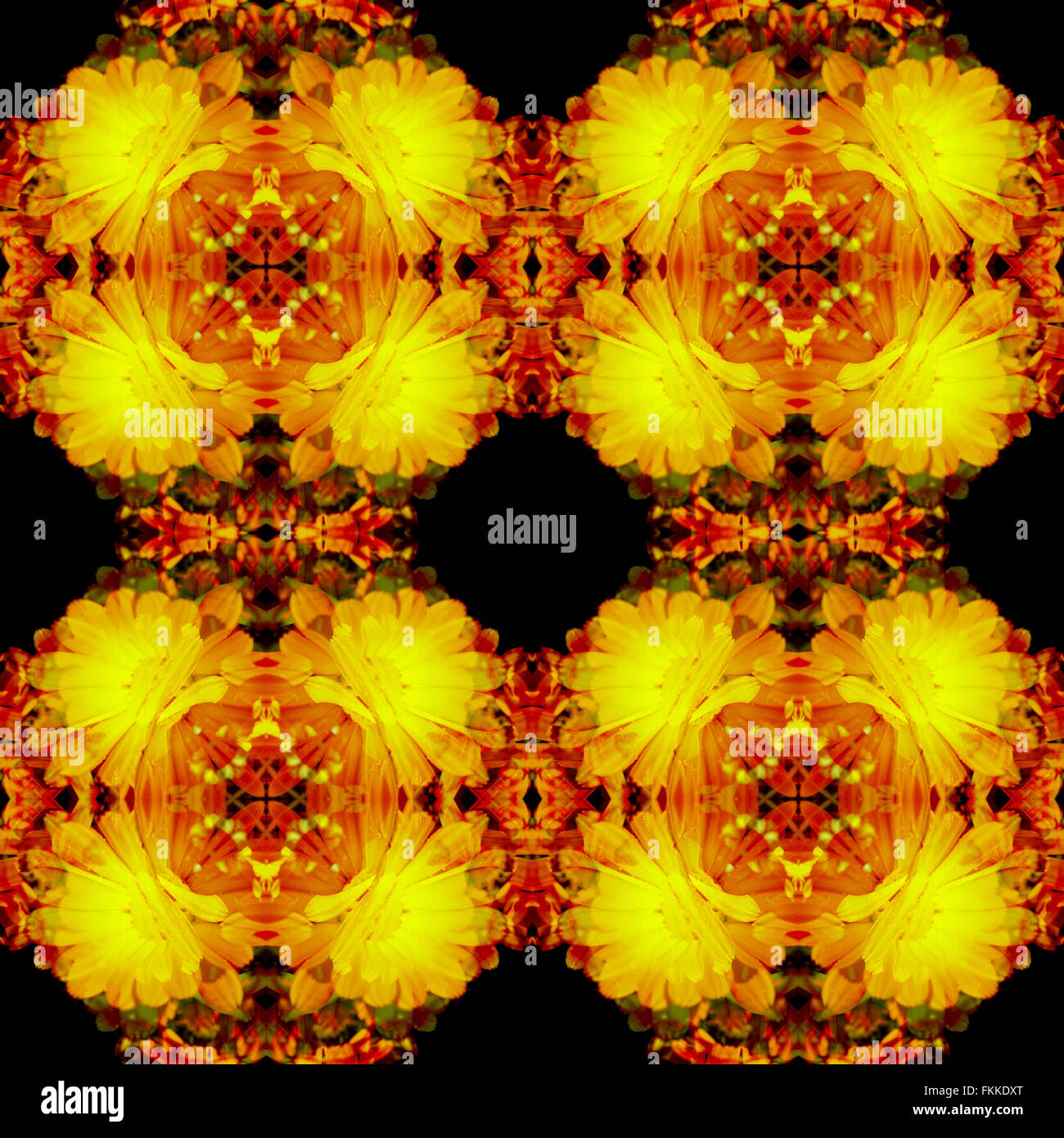 Seamless background pattern. Marigold flowers. Nature and Geometry ...