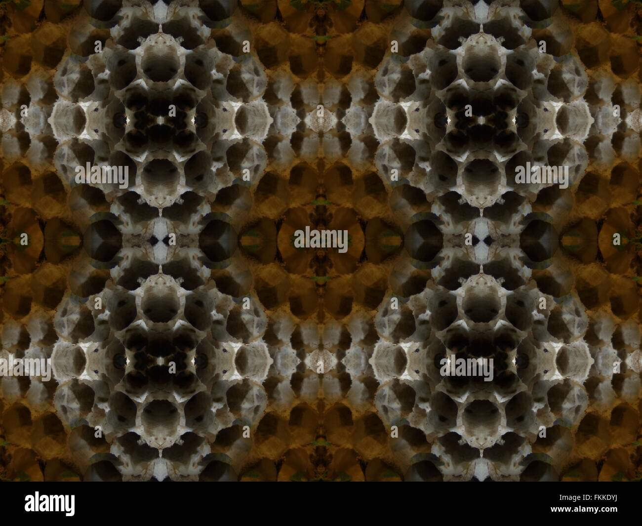 Seamless background pattern. Wasp nest. Nature and Geometry Stock Photo ...