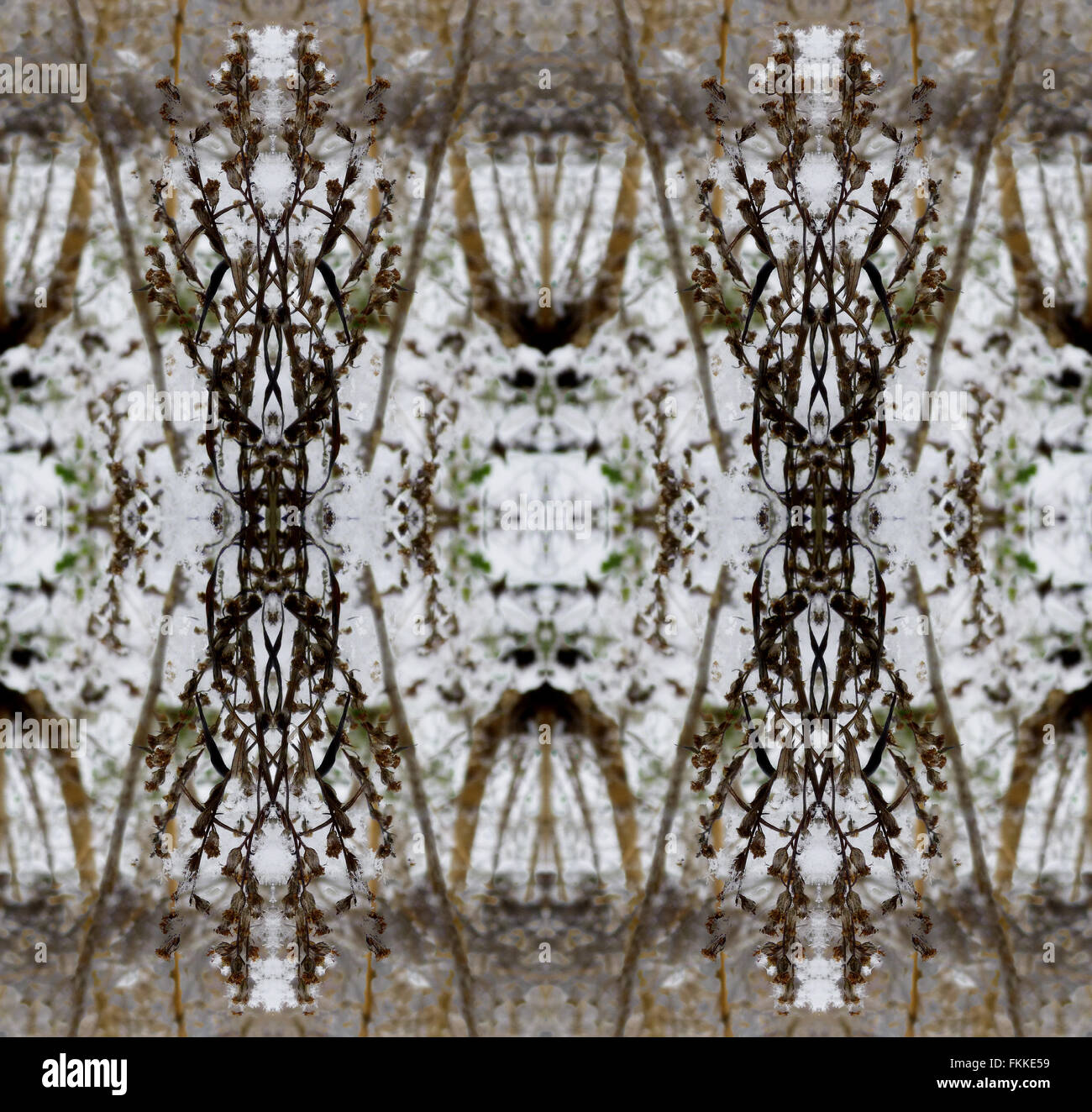 Seamless background pattern. Frost patterns. Nature and Geometry Stock ...