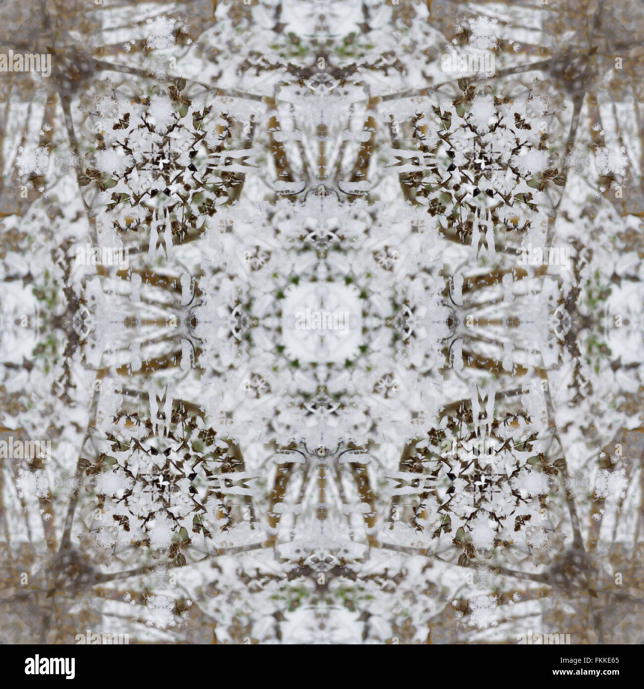 Seamless background pattern. Frost patterns. Nature and Geometry Stock ...