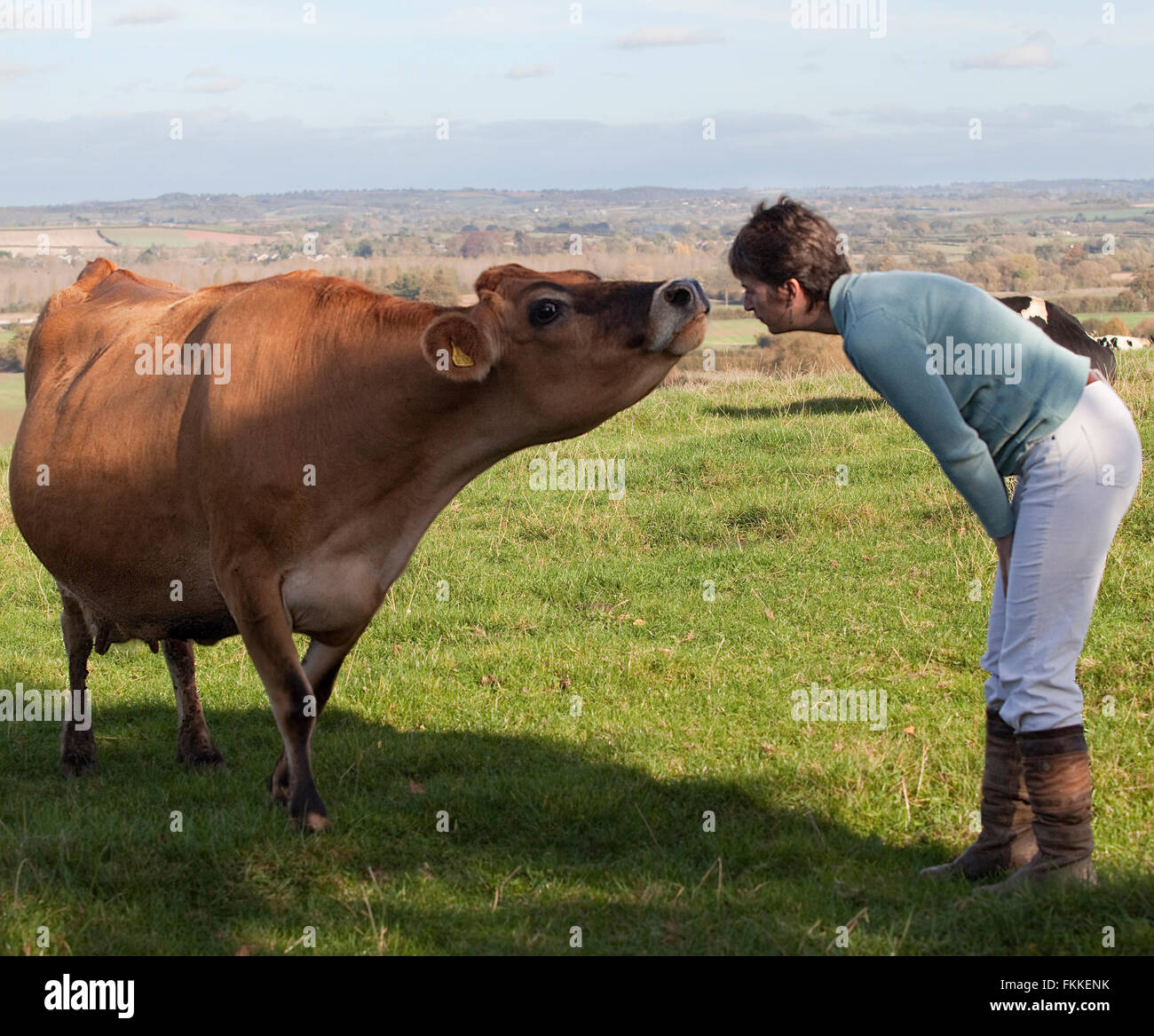 Talkative cow in profile hi-res stock photography and images - Alamy