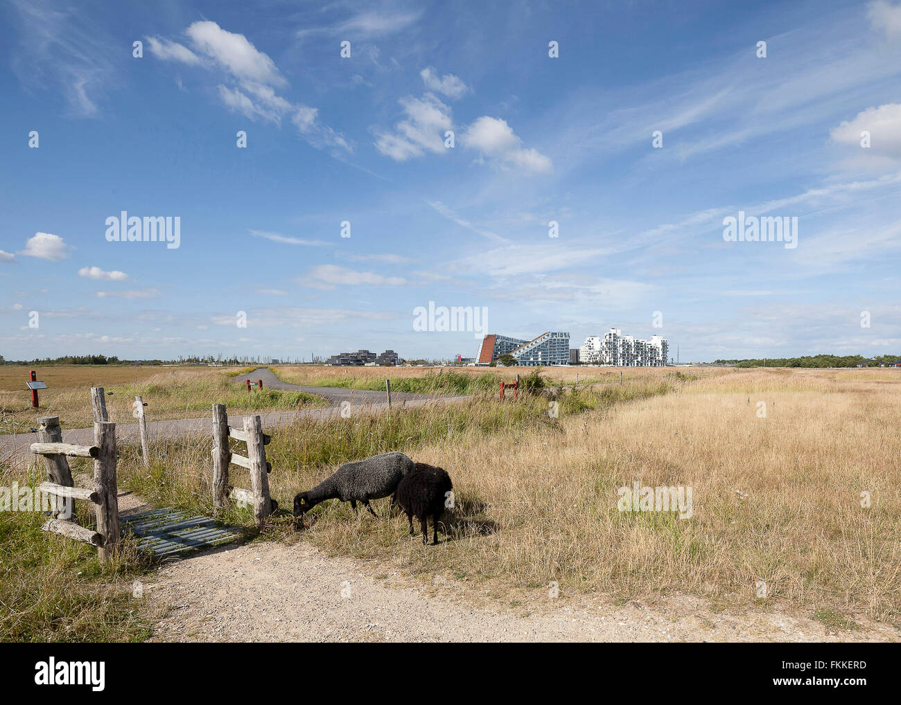 Mixed use development hi-res stock photography and images - Alamy
