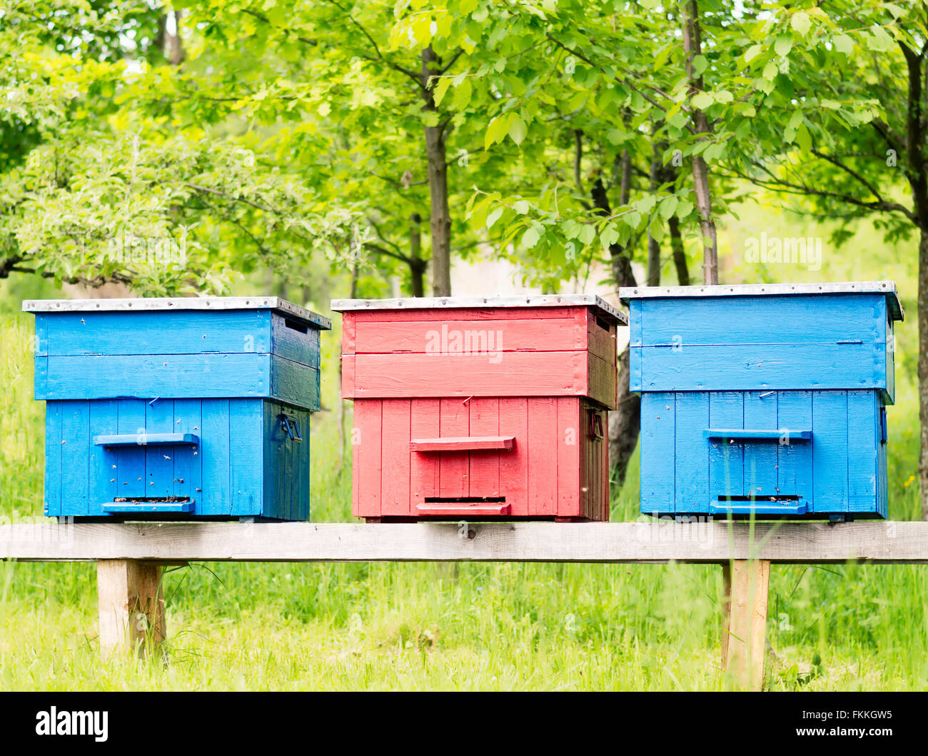 Three colorful painted beehives on a small wooden platform Stock Photo ...