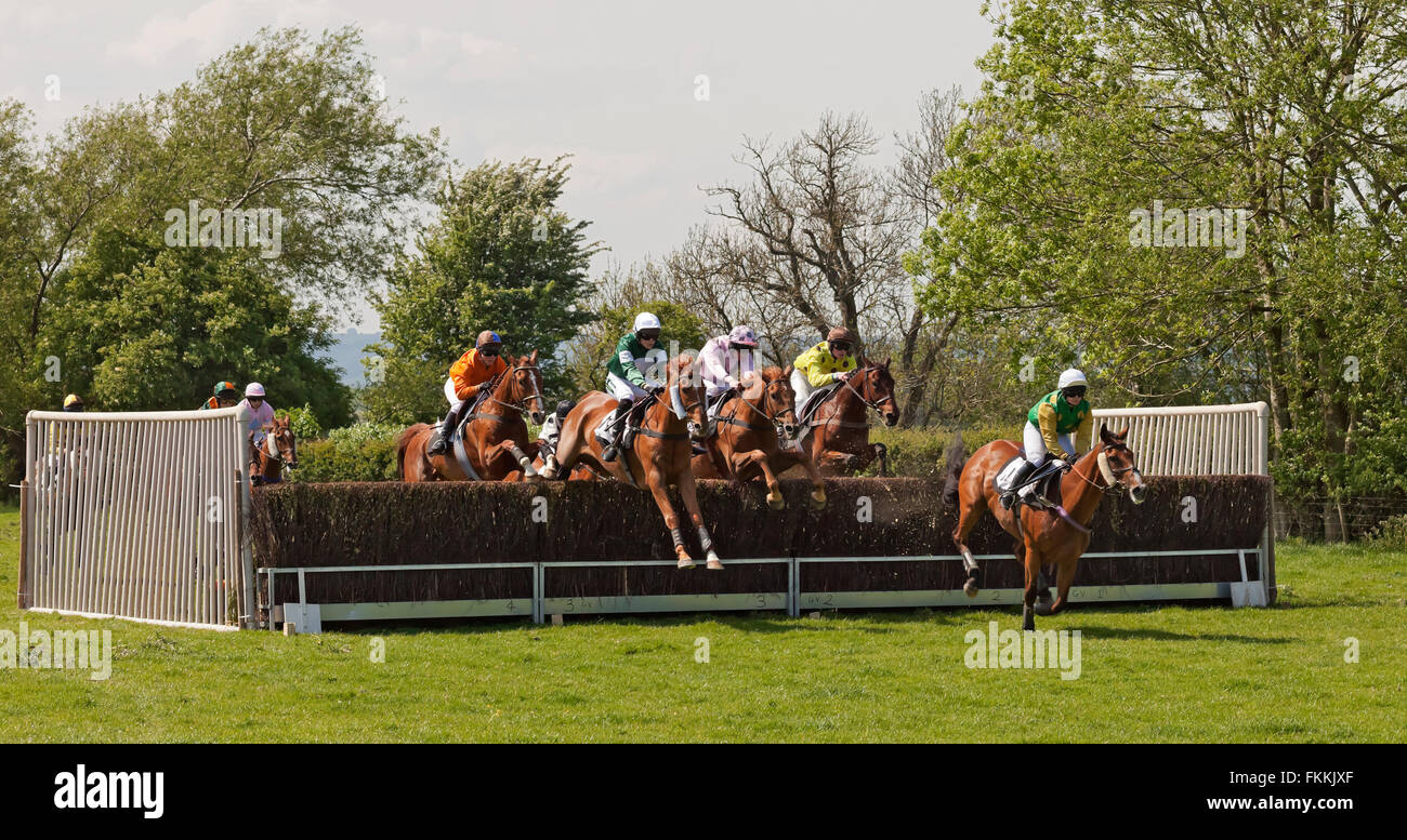 Over a jump Stock Photo - Alamy
