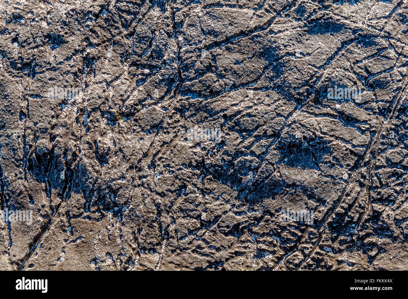 Texture of sea stones Stock Photo - Alamy