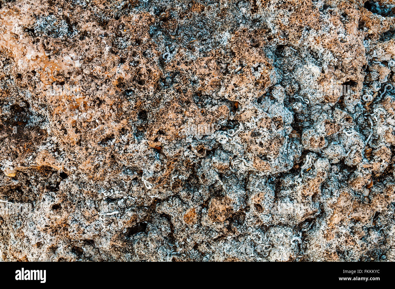 Texture of sea stone background Stock Photo - Alamy
