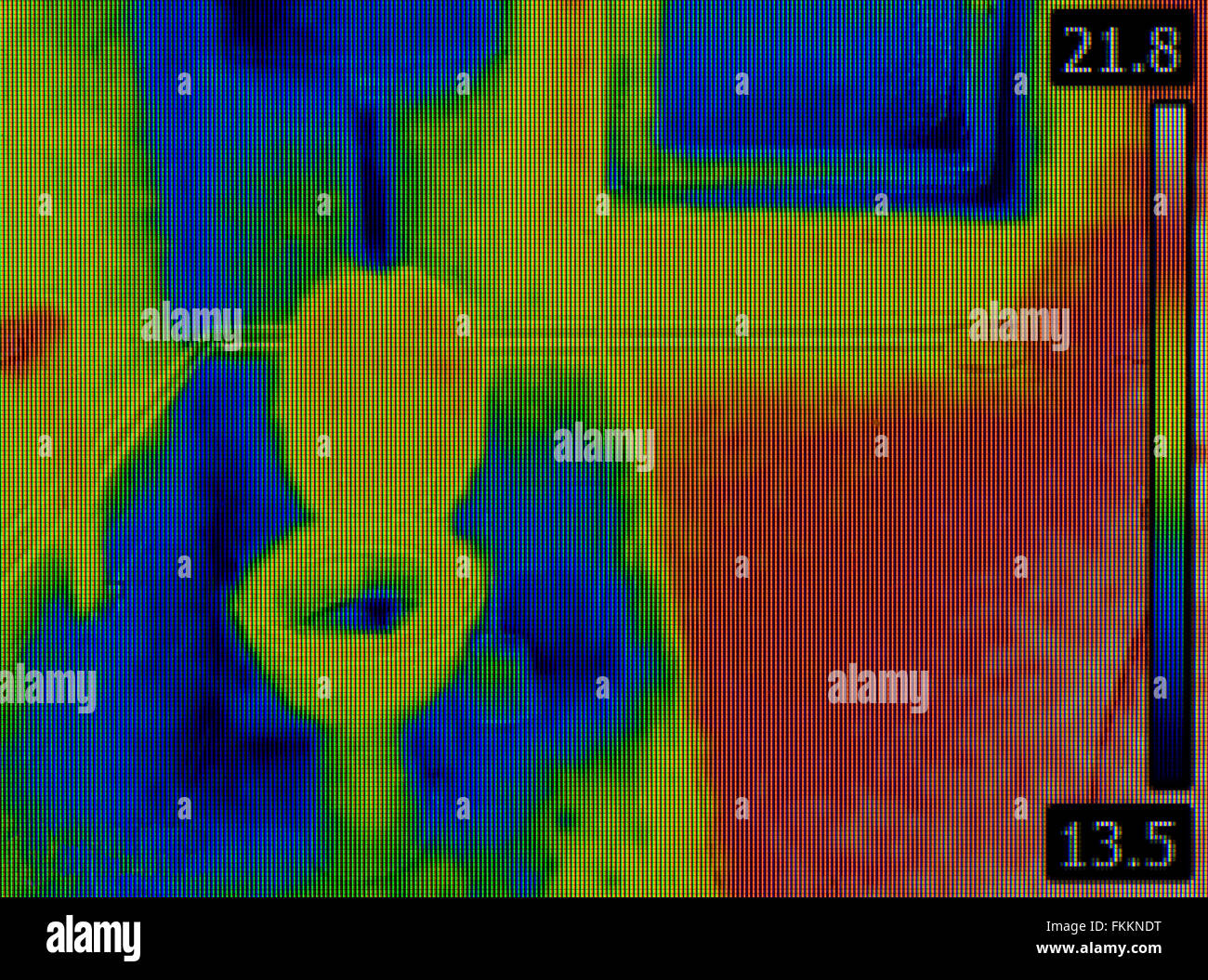 Water and Heat Absorption in Toilet Thermal Image Stock Photo - Alamy