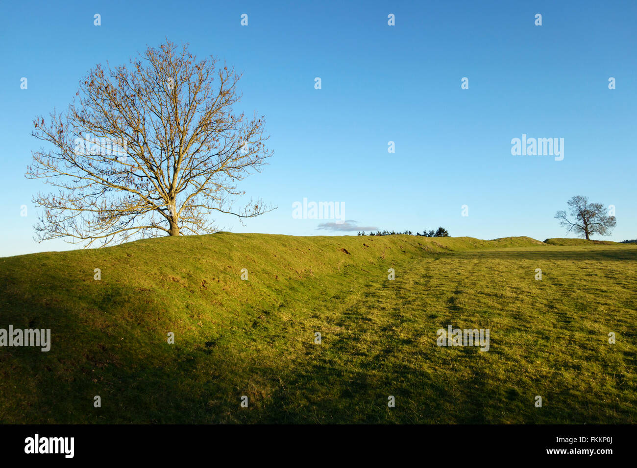 Leintwardine, Herefordshire, UK. The vallum (earth rampart) around the ...
