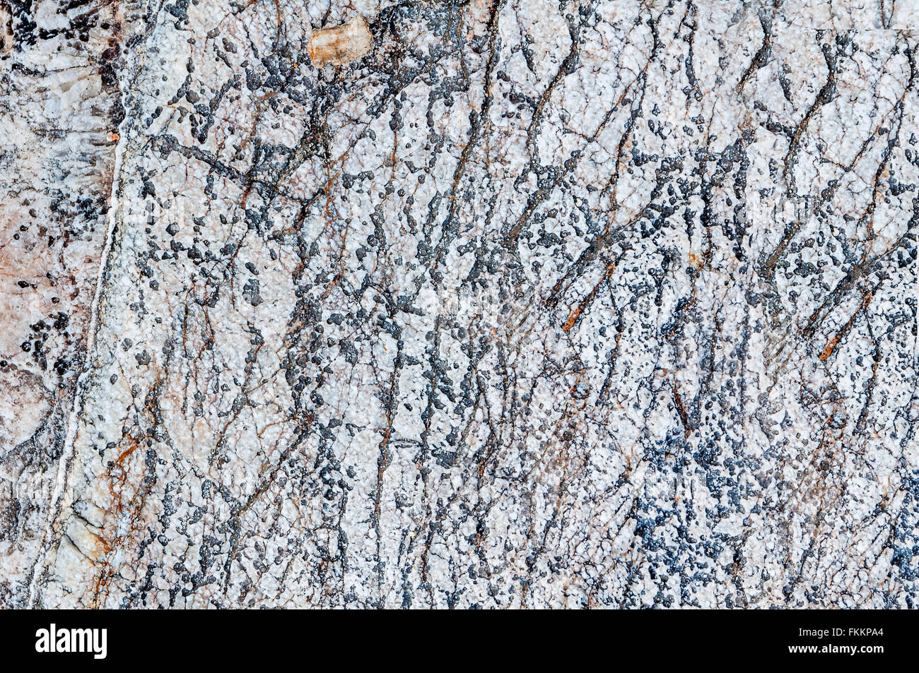White texture sea stone Stock Photo - Alamy