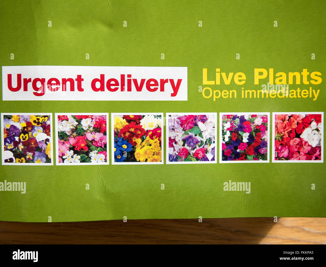Live plants hi-res stock photography and images - Alamy